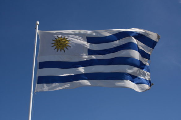 Guide to Canelones & Montevideo wine regions in Uruguay: wineries, map