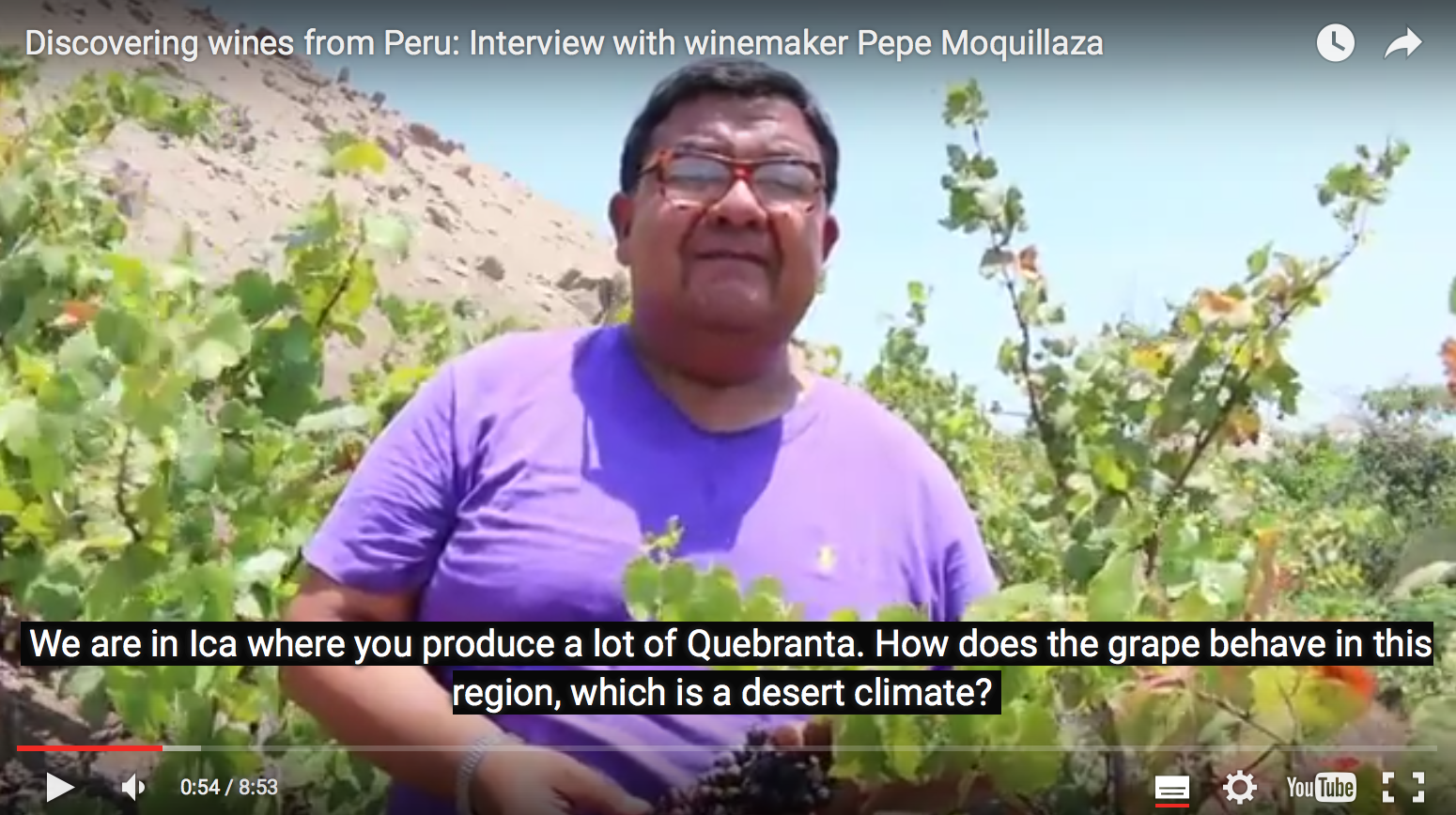 Guide to the wine regions & wines of Peru: The Peru Wine Guide