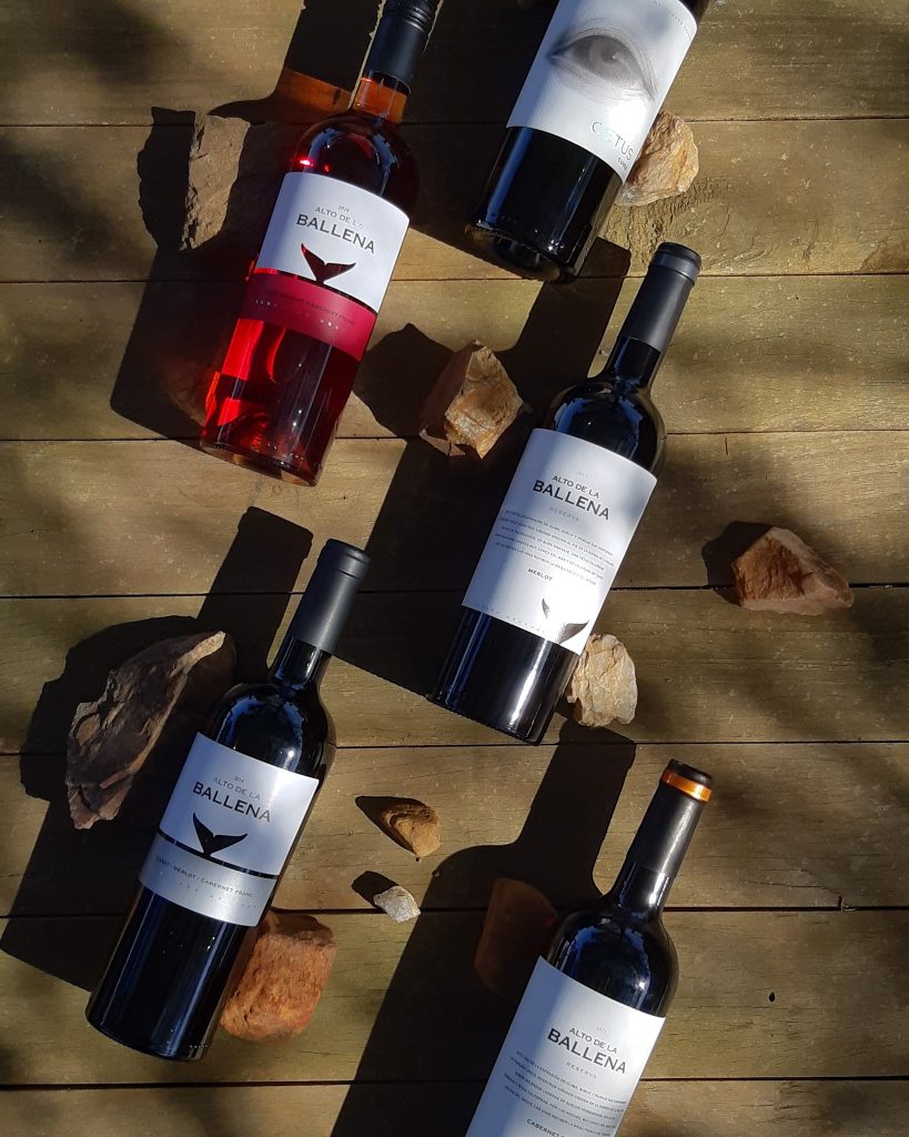 Alto de la Ballena winery & wines: Guide to wine in Uruguay