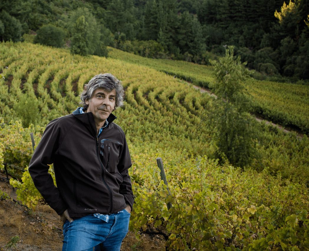 Laberinto winery & Rafael Tirado wines: Guide to South American wine