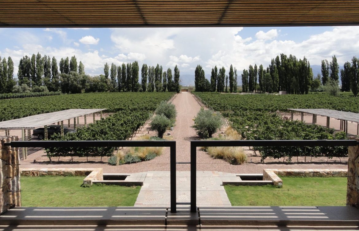 Get to know your winemaker: Lorena Mulet - South America Wine Guide