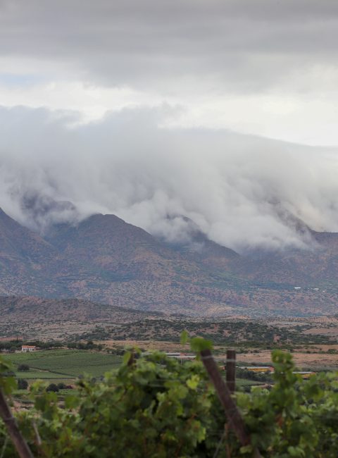 The ultimate Bolivia wine guide to Bolivia's wine regions, travel & food