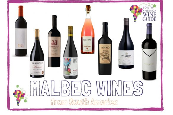 What is white Malbec? A guide to the Argentine white from red