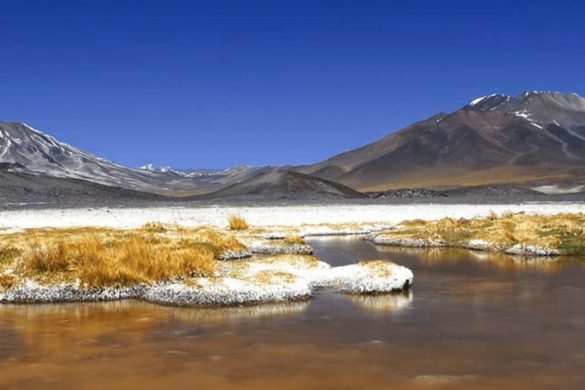 Ultimate Calchaquí Valley wine region guide (including Cafayate & Salta)