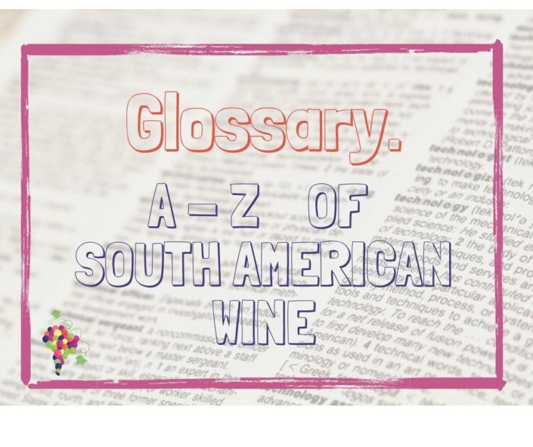 Glossary & A to Z of South American wine terms : Latin America wine guide