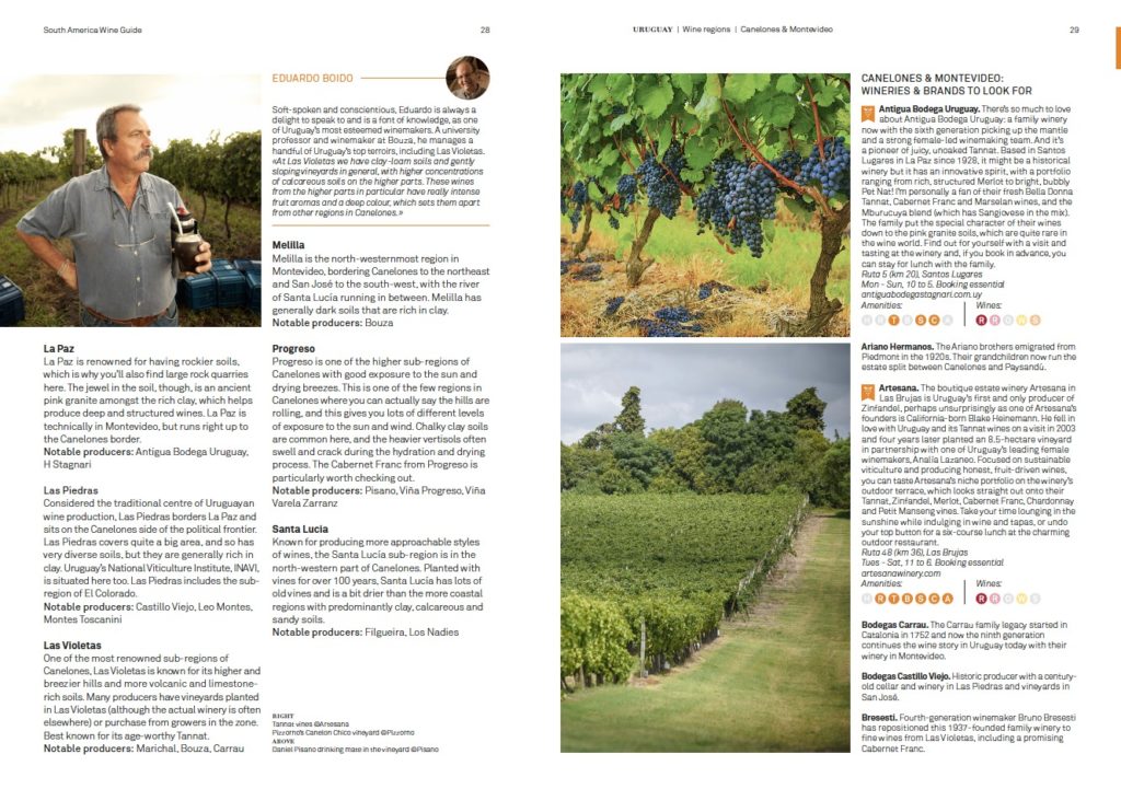 South America Wine Guide - Ebook to the wines of South America