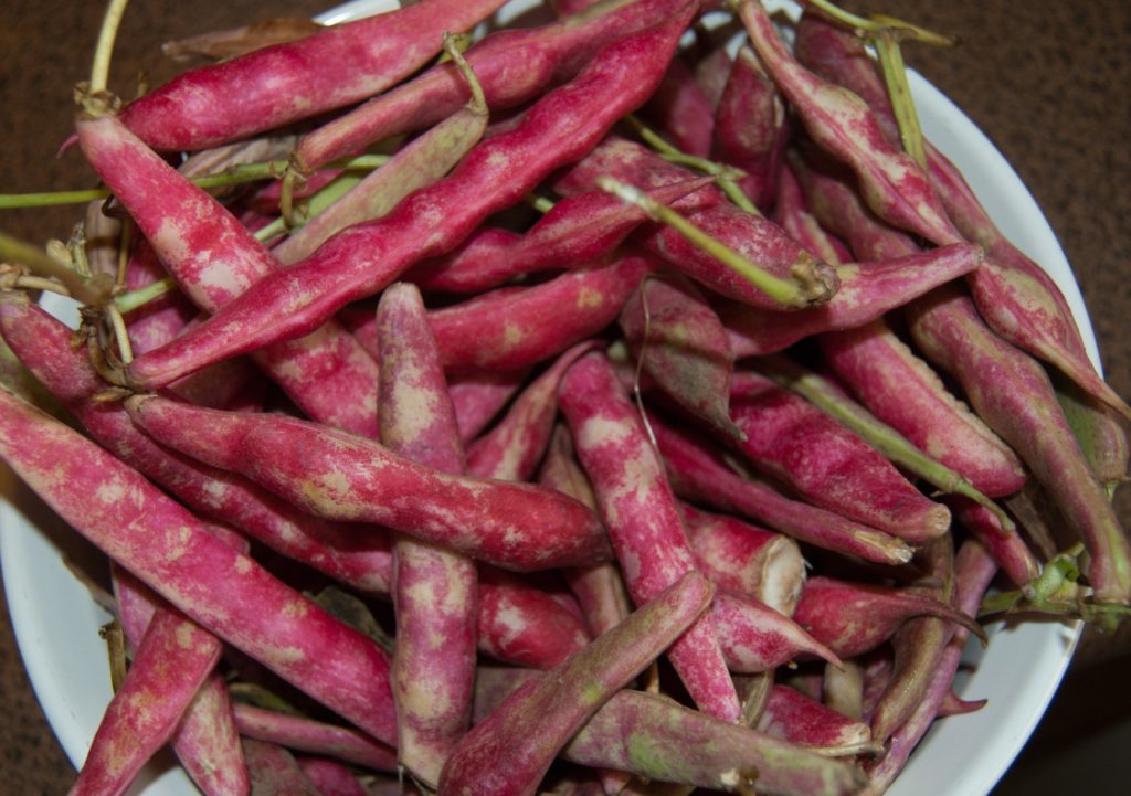 The ultimate Chilean Porotos Granados recipe - Chilean food guide