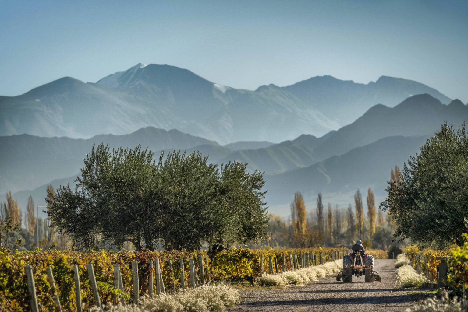 Cheval des Andes goes 'back to the future' with agroecology - South ...