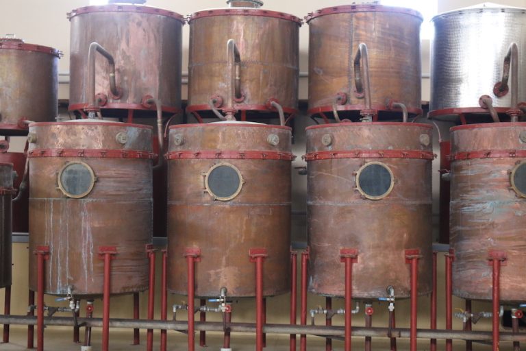 Singani: distilling the spirit of Bolivia . A guide to Bolivian Singani ...