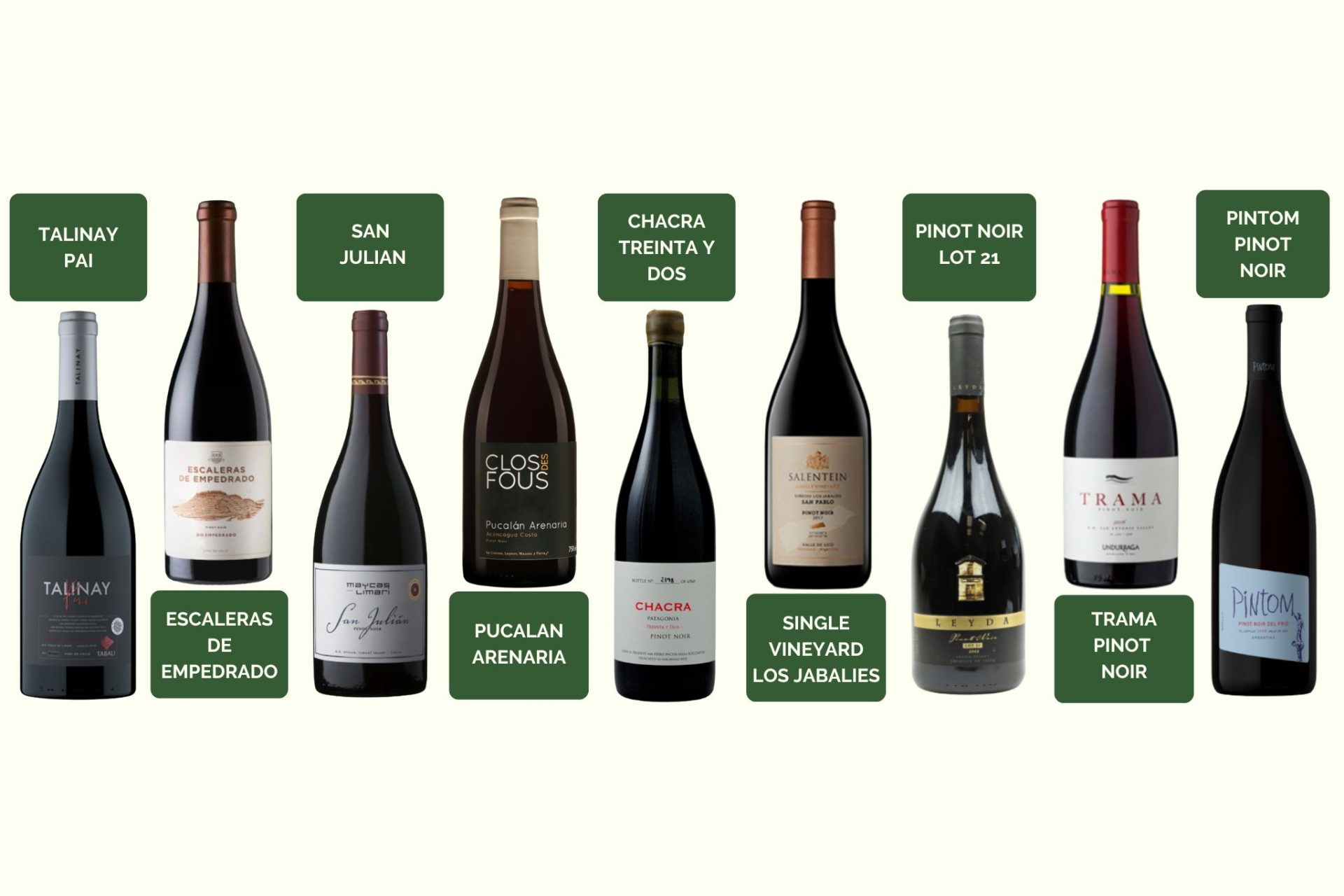 Ultimate guide to South American Pinot Noir - South America Wine Guide
