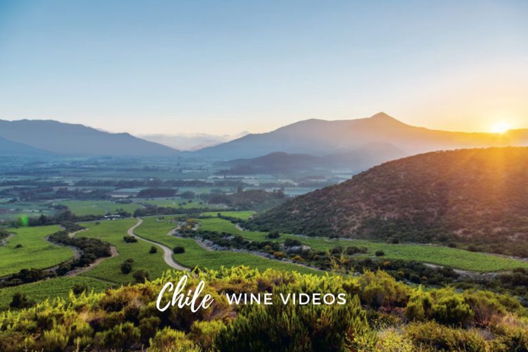 Chile Wine Video Guide: Discover the wine regions of Chile