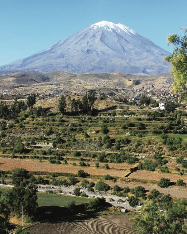 Guide to the wine regions & wines of Peru: The Peru Wine Guide